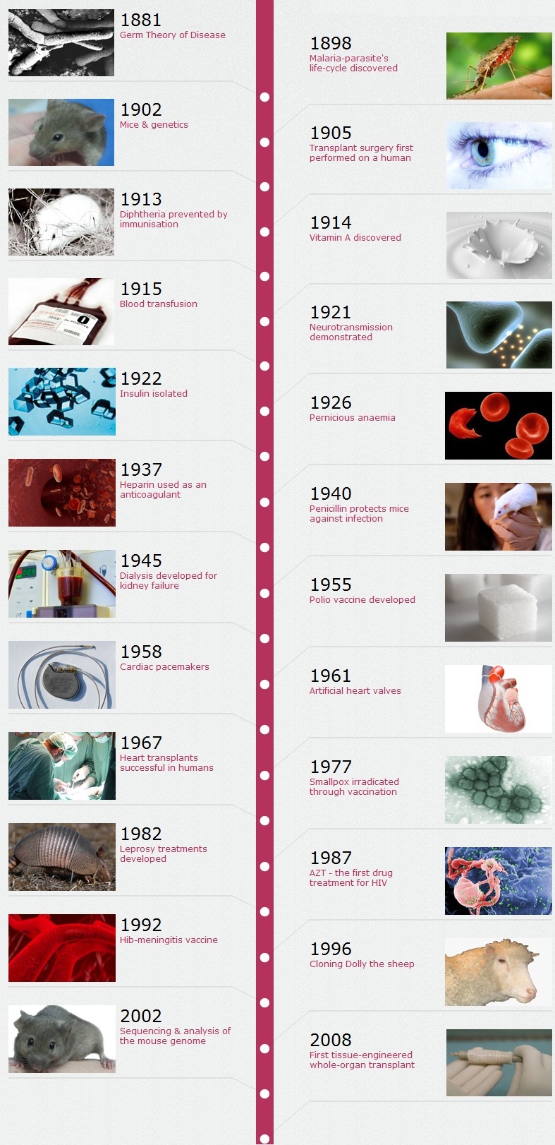 Medical Benefits – Speaking of Research