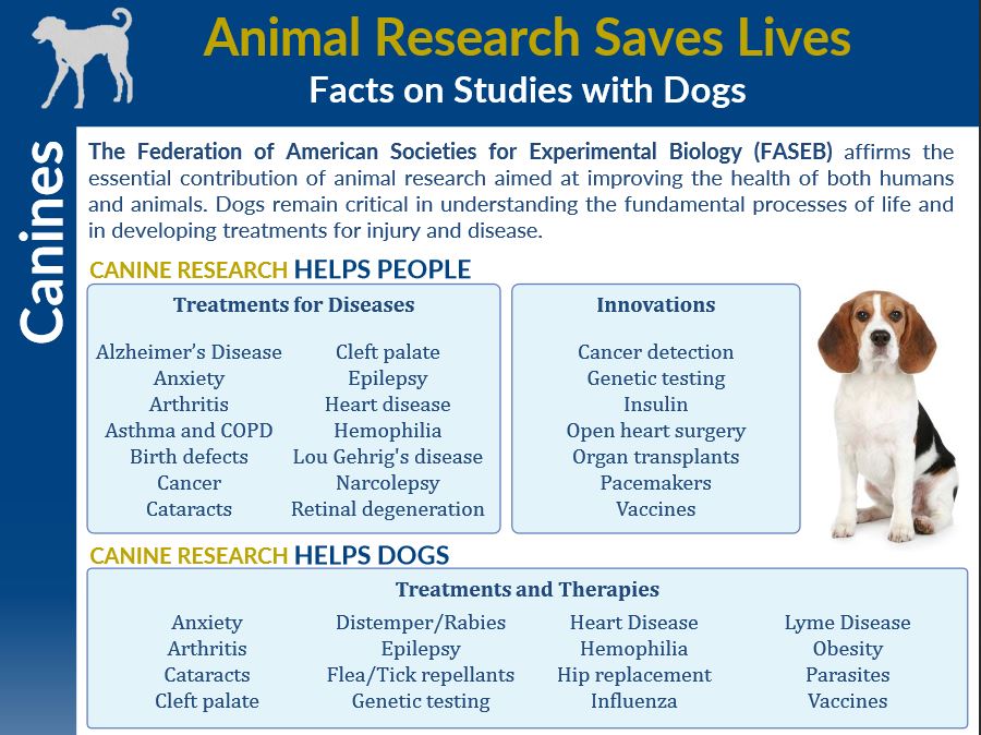 FASEB Briefing – Animal Research Saves Lives – Facts on Dogs – Speaking ...
