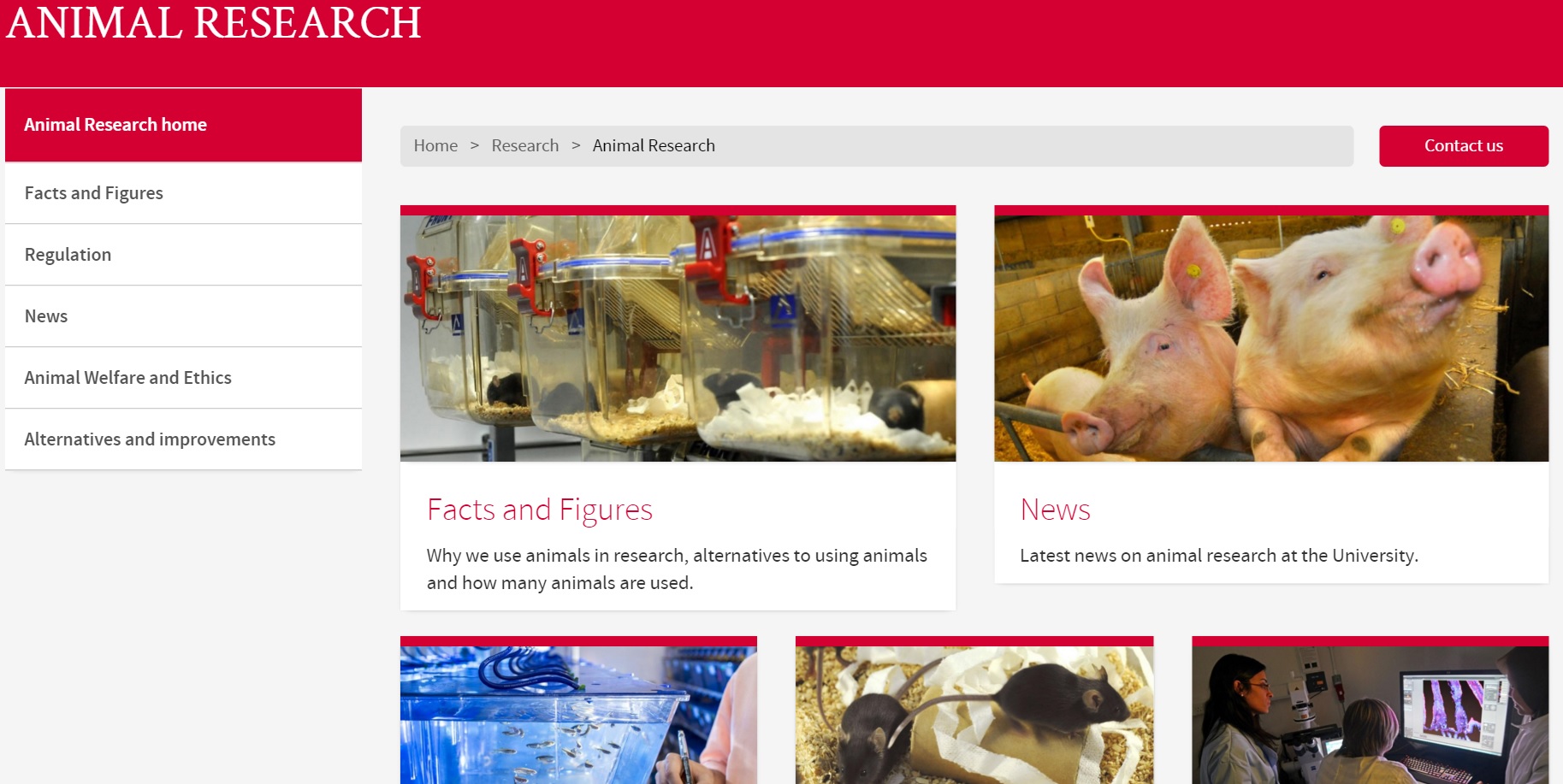 Over 200 institutions publish online animal research position ...