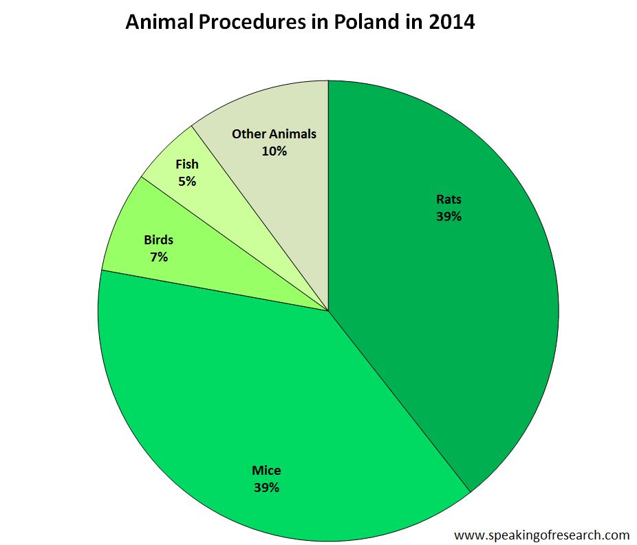 Belgium and Poland release latest animal research statistics – Speaking ...
