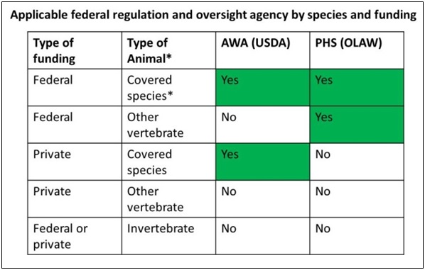 Animal Research Regulations in the US – Speaking of Research