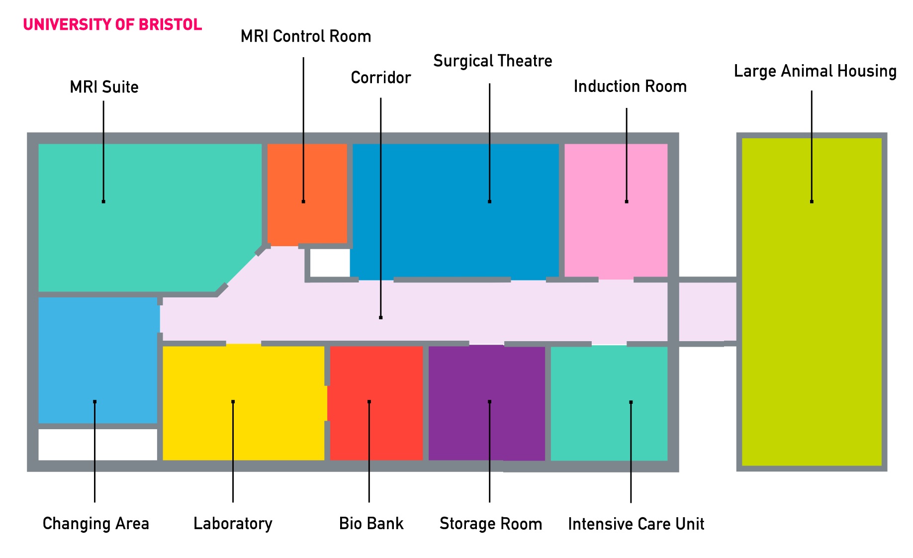 360 Virtual Lab Tour allows public to look round four British animal ...