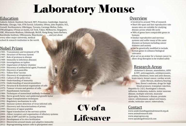 The Animal Model – Speaking of Research